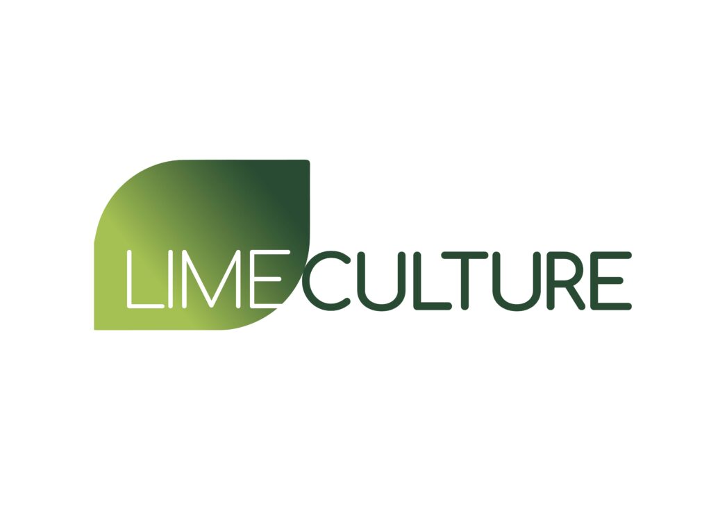 Continuing Professional Development for ISVAs: ISVA Support in Family ...